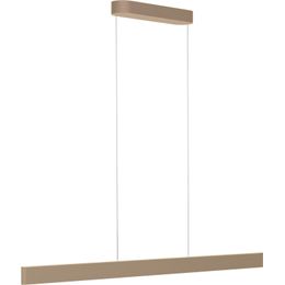 LED Pendelleuchte "Q-STRETTO", bronzefarben, 1, 1 Stk., NEUHAUS Q DESIGN CONTROL LIGHTS, Leuchten, LED Pendelleuchte
