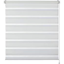 Sch&ouml;ner Wohnen Kollektion Doppelrollo "Tilda", wei&szlig;, B:100cm H:150cm, Polyester, SCH&Ouml;NER WOHNEN-KOLLEKTION, Rollos, geklemmt, silberne oder wei&szlig;e Rollo-Technik