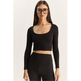 Basic Cropped Top