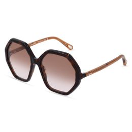 Chlo&eacute; Chlo&eacute; CH0008S | Unisex-Sonnenbrille | Fassung: Vollrand, Geometrisch, Acetat, Havanna Dunkel | Glasfarbe: Braun Verlaufend