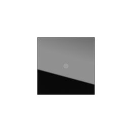 GIRA Kameramodul Schwarz 5561000)