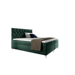 Fun M&ouml;bel BOXBETT Ambre In Fresh
