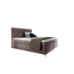 Fun M&ouml;bel BOXBETT Ambre In Fresh