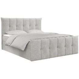 BOXBETT PREMIUM 11 140/200 Hellgrau Struktur - H4
