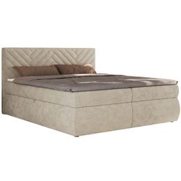 BOXBETT AVERTA 160/200 - Beige Schenille glatt - H3