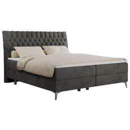 BOXBETT MILEN 120/200 Dunkelgrau Velvet - H3
