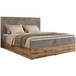 BOXBETT WOOD CLASSIC 140/200 - Hellbraun Cord - H4