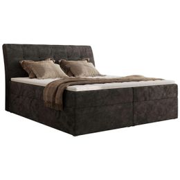 BOXBETT DAGOS 200/200 - Dunkelgrau Schenille glatt - H3 - Topper Visco