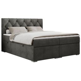 BOXBETT ALDA 120/200 Dunkelgrau Velvet - H3