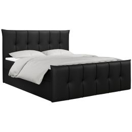 BOXBETT PREMIUM 11 120/200 Schwarz Kunstleder - H4