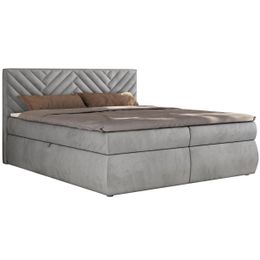 BOXBETT AVERTA 180/200 - Hellgrau Velvet - H3