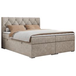 BOXBETT ALDA 140/200 Beige Struktur - H3