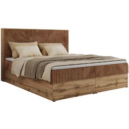 BOXBETT WOOD CLASSIC 200/200 - Orange Cord - H4