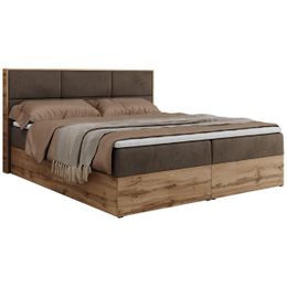 BOXBETT ALBERO 2 - 200/200 Braun Velvet - H3