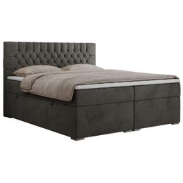 BOXBETT PERA 180/200 Dunkelgrau Velvet - H3