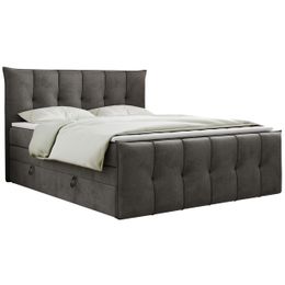 BOXSPRINGBETT PREMIUM 11 KING 200/200 Hellgrau Velvet - H4