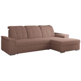 ECKSOFA MADRITO L - Rosa Boucle - Rechts