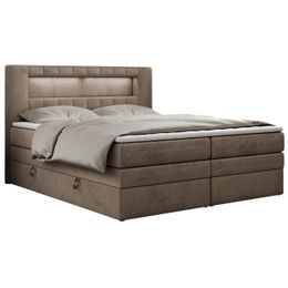 BOXSPRINGBETT GOLD-5 KING LED 200/200 Braun Velvet - H3