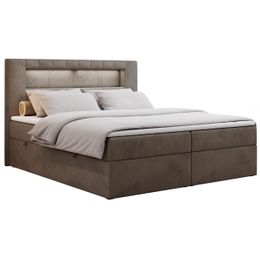 BOXBETT GOLD-5 LED 160/200 Braun Velvet - H4