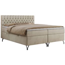 BOXBETT GRIMALDI 120/200 Beige Velvet - H4