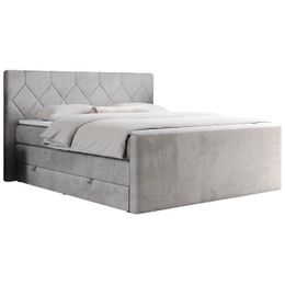 BOXSPRINGBETT KING EIGAR 140/200 Hellgrau Velvet - H4