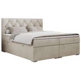 BOXBETT ALDA 120/200 Beige Velvet - H3