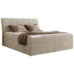 BOXBETT DAGOS 120/200 - Beige Schenille glatt - H4 - Topper Visco