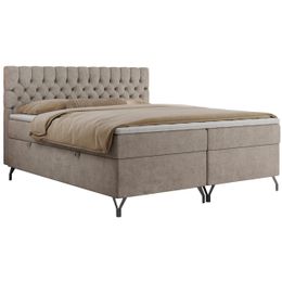 BOXBETT GRIMALDI 120/200 Beige Struktur - H4