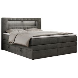 BOXSPRINGBETT GOLD-5 KING LED 180/200 Dunkelgrau Velvet - H4