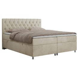 BOXBETT ROMA 120/200 - Beige Velvet - H4