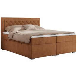 BOXBETT JASIR 120/200 - Orange Strukture - H4