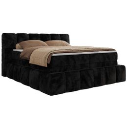 BOXSPRINGBETT NIRA KING 140/200 Schwarz Pl&uuml;sch - H4