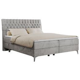 BOXBETT MILEN 200/200 Hellgrau Velvet - H4