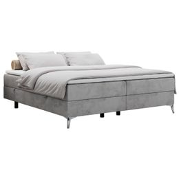 BOXBETT LESS 120/200 Hellgrau Velvet - H3