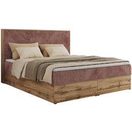 BOXBETT WOOD CLASSIC 140/200 - Rosa Cord - H4