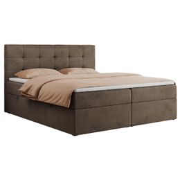 BOXBETT CENTO 120/200 Braun Velvet - H4