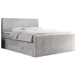 BOXSPRINGBETT KING DOREN 160/200 Hellgrau Velvet - H3