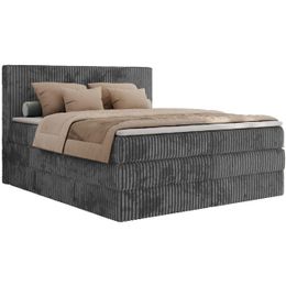 BOXSPRINGBETT TILIANO KING - 180/200 - Grau Cord - H3
