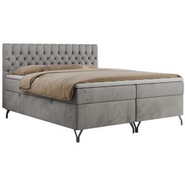 BOXBETT GRIMALDI 120/200 Hellgrau Velvet - H4