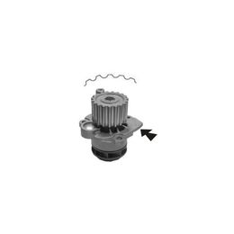 AIRTEX Wasserpumpe 1670 f&uuml;r Ford VW