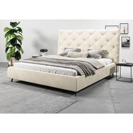 Polsterbett Home Affaire "Maxime, in 4 Breiten bis 200cm, auch in Leder", beige (nature), B:236cm H:105cm L:254cm, 94% Polyester, 6% Nylon, Betten, Polsterbett, Kopfteilh&ouml;he 143 cm, belastbar bis 280 kg, auch in &Uuml;berl&auml;nge 220cm
