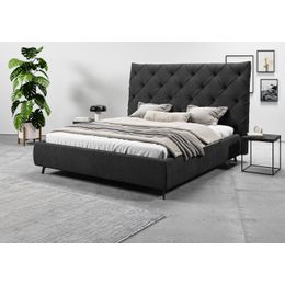 Polsterbett Home Affaire "Maxime, in 4 Breiten bis 200cm, auch in Leder", schwarz, B:216cm H:105cm L:234cm, 96% Polyester, 4% Polyacryl, Betten, Polsterbett, Kopfteilh&ouml;he 143 cm, belastbar bis 280 kg, auch in &Uuml;berl&auml;nge 220cm