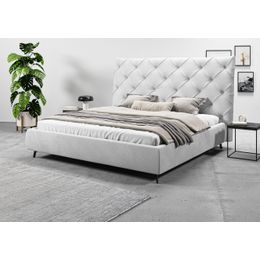 Polsterbett Home Affaire "Maxime, in 4 Breiten bis 200cm, auch in Leder", grau, B:236cm H:105cm L:234cm, 94% Polyester, 6% Nylon, Betten, Polsterbett, Kopfteilh&ouml;he 143 cm, belastbar bis 280 kg, auch in &Uuml;berl&auml;nge 220cm