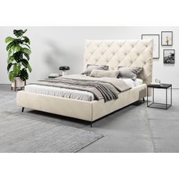 Polsterbett Home Affaire "Maxime, in 4 Breiten bis 200cm, auch in Leder", beige (nature), B:196cm H:105cm L:254cm, 94% Polyester, 6% Nylon, Betten, Polsterbett, Kopfteilh&ouml;he 143 cm, belastbar bis 280 kg, auch in &Uuml;berl&auml;nge 220cm