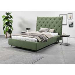Polsterbett Home Affaire "Maxime, in 4 Breiten bis 200cm, auch in Leder", gr&uuml;n (turtle), B:176cm H:105cm L:254cm, 94% Polyester, 6% Nylon, Betten, Polsterbett, Kopfteilh&ouml;he 143 cm, belastbar bis 280 kg, auch in &Uuml;berl&auml;nge 220cm