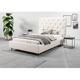 Polsterbett Home Affaire "Maxime, in 4 Breiten bis 200cm, auch in Leder", wei&szlig;, B:176cm H:105cm L:254cm, 96% Polyester, 4% Polyacryl, Betten, Polsterbett, Kopfteilh&ouml;he 143 cm, belastbar bis 280 kg, auch in &Uuml;berl&auml;nge 220cm