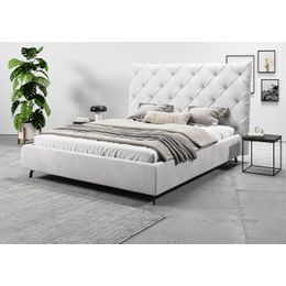Polsterbett Home Affaire "Maxime, in 4 Breiten bis 200cm, auch in Leder", grau (light, grau), B:216cm H:105cm L:254cm, 94% Polyester, 6% Nylon, Betten, Polsterbett, Kopfteilh&ouml;he 143 cm, belastbar bis 280 kg, auch in &Uuml;berl&auml;nge 220cm