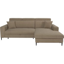Ecksofa TRENDS BY HG "Nizza, L-Form, B: 250cm", d516 enjoy new 36 antelop, B:250cm H:104cm T:166cm, 92% Polyester;8% Nylon, Sofas, Ecksofa, Schlaffunktion + Bettkasten