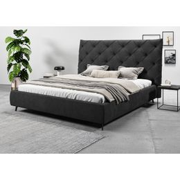 Polsterbett Home Affaire "Maxime, in 4 Breiten bis 200cm, auch in Leder", schwarz, B:236cm H:105cm L:254cm, 96% Polyester, 4% Polyacryl, Betten, Polsterbett, Kopfteilh&ouml;he 143 cm, belastbar bis 280 kg, auch in &Uuml;berl&auml;nge 220cm