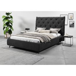 Polsterbett Home Affaire "Maxime, in 4 Breiten bis 200cm, auch in Leder", schwarz, B:196cm H:105cm L:254cm, 96% Polyester, 4% Polyacryl, Betten, Polsterbett, Kopfteilh&ouml;he 143 cm, belastbar bis 280 kg, auch in &Uuml;berl&auml;nge 220cm